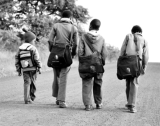 Transport on land | South African History Online
