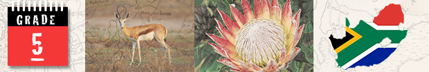 Grade 5 - Term 1: Hunter-gatherers and herders in Southern Africa ...